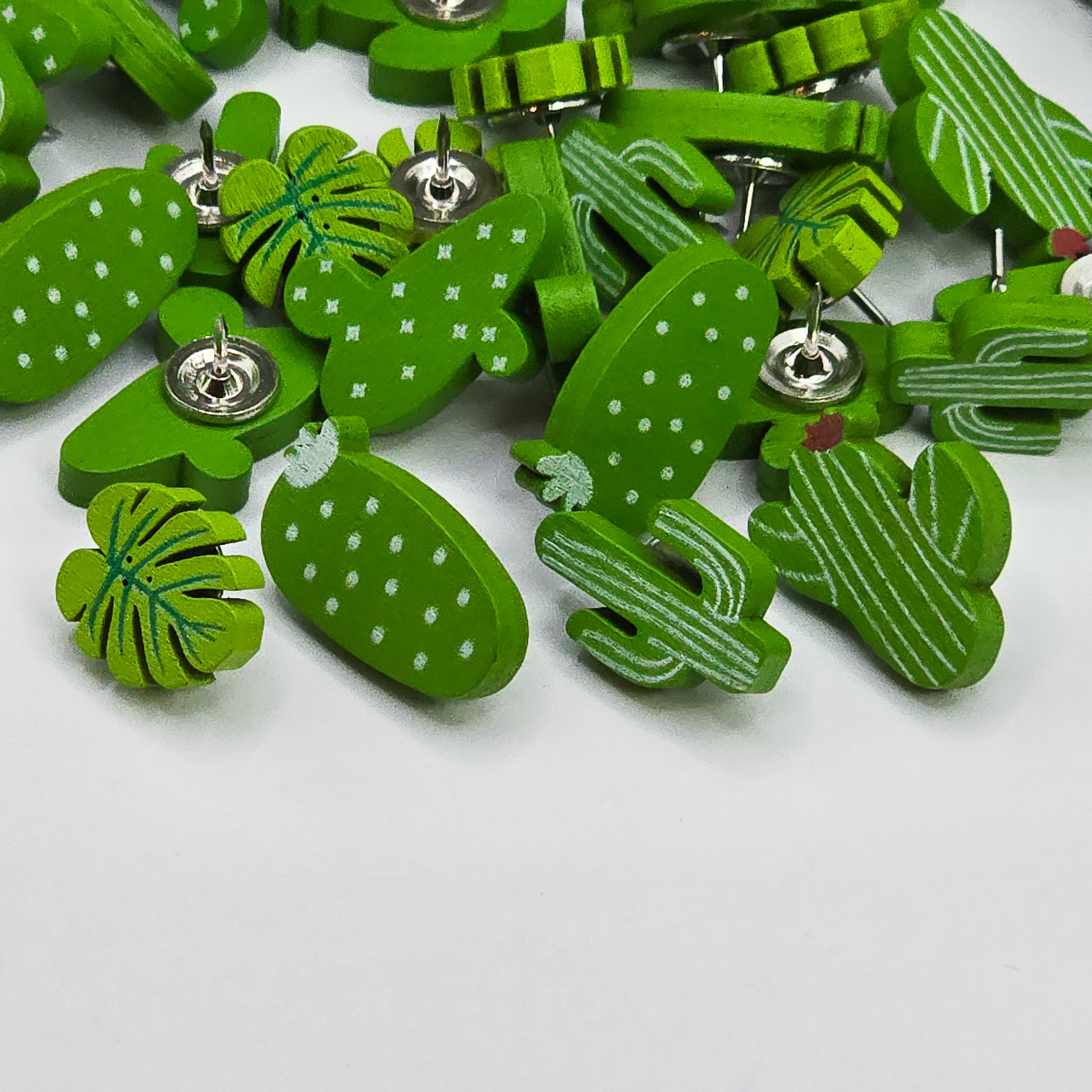 Cactus Products – My Plantasy