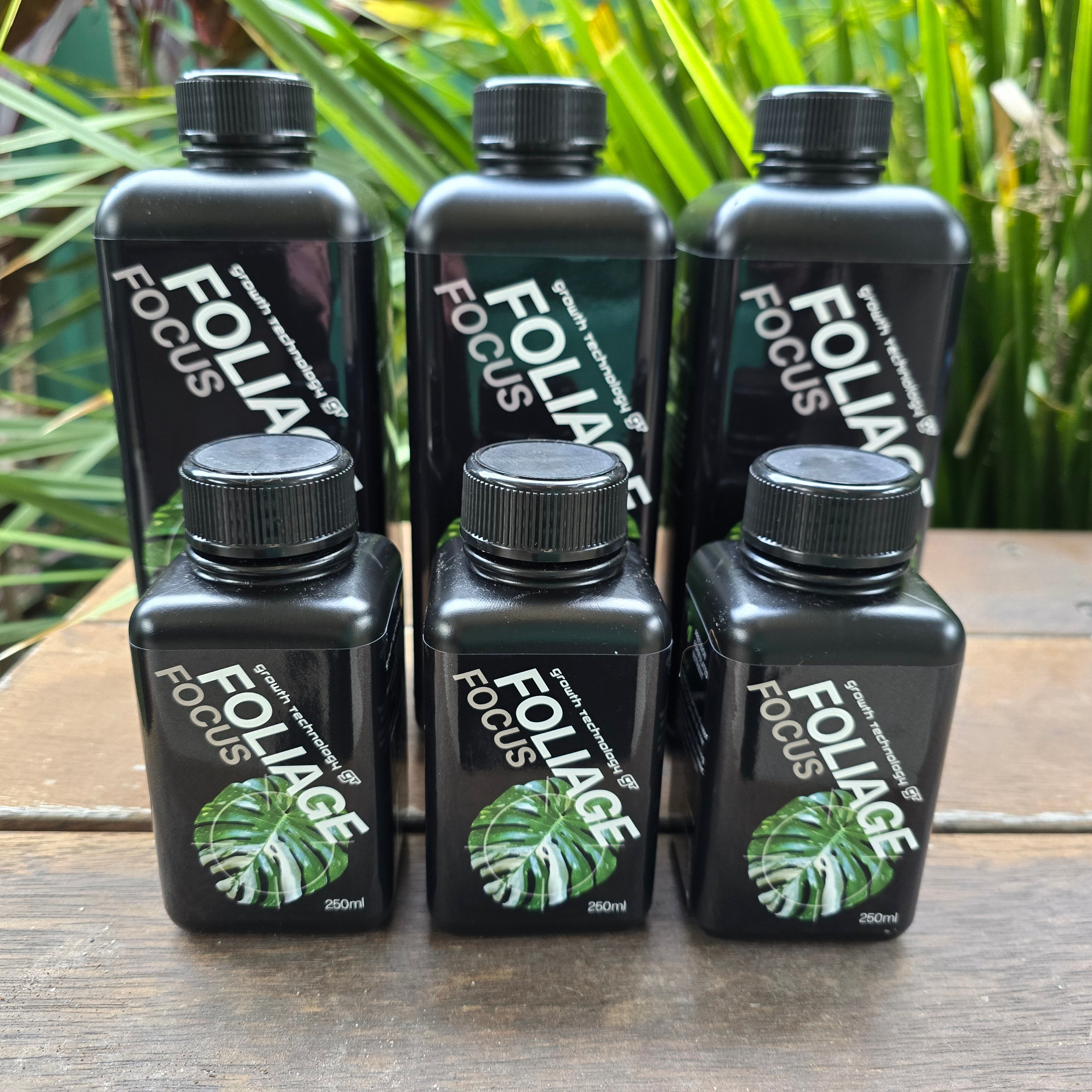GT Growth Technology Foliage Focus Liquid Plant Fertiliser – My Plantasy