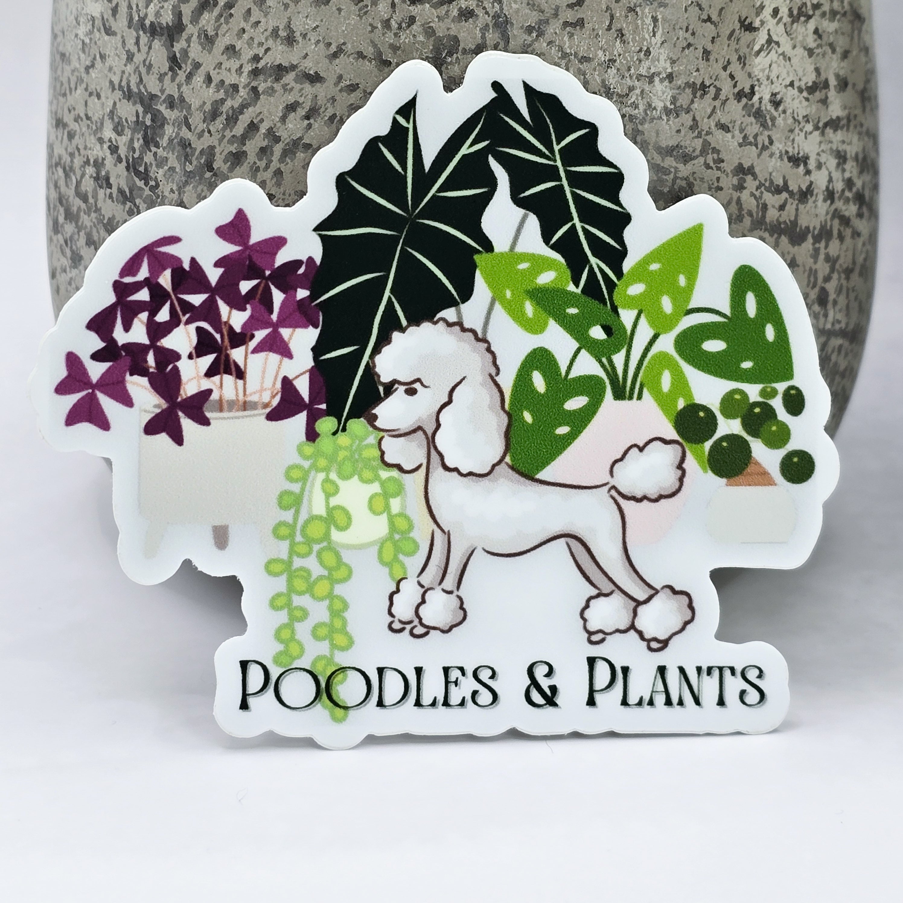 Poodles & Plants 8.5cm WHITE Vinyl Houseplants Sticker 🐩🌿 – My Plantasy