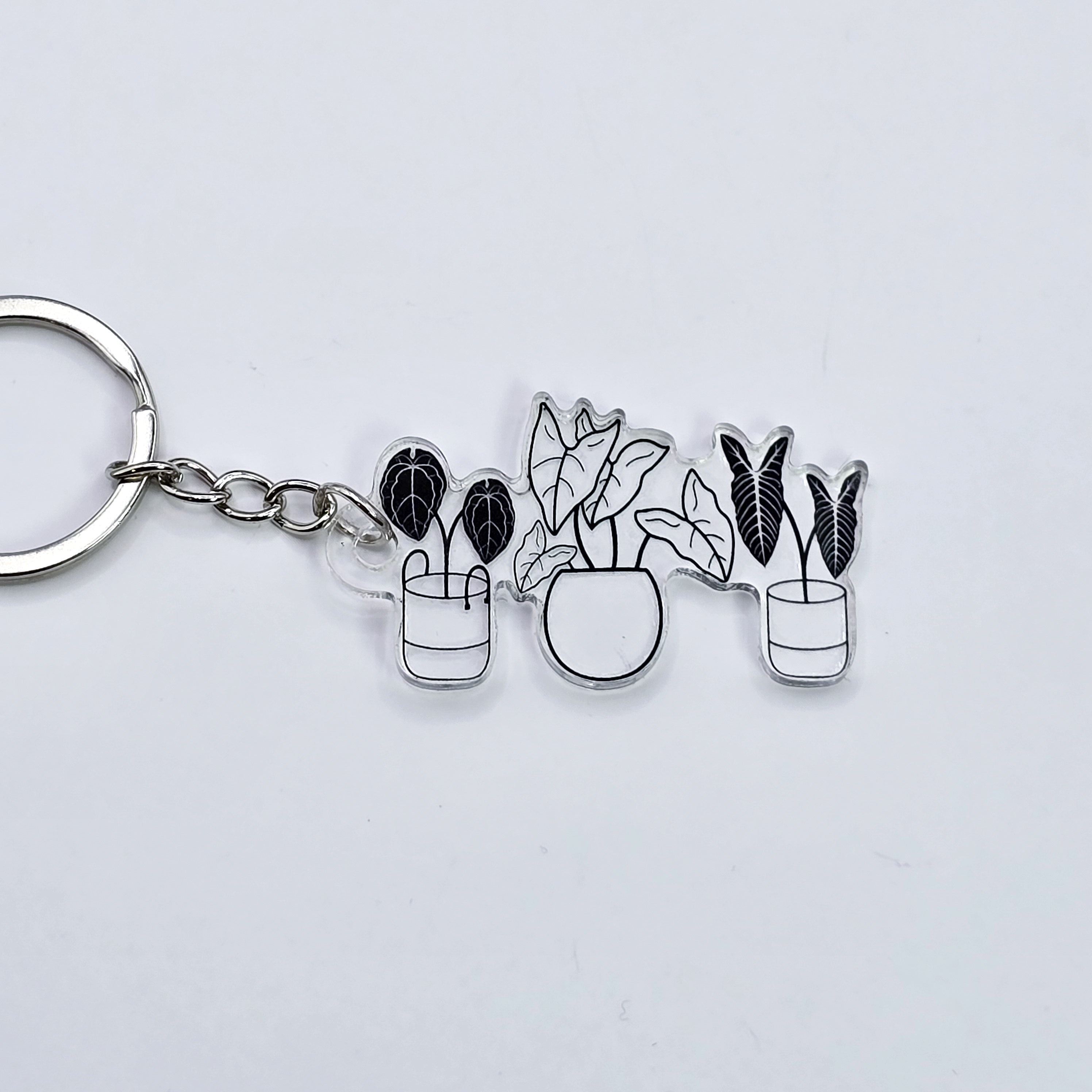 Rare Potted Houseplants Clear Acrylic Keyring – My Plantasy