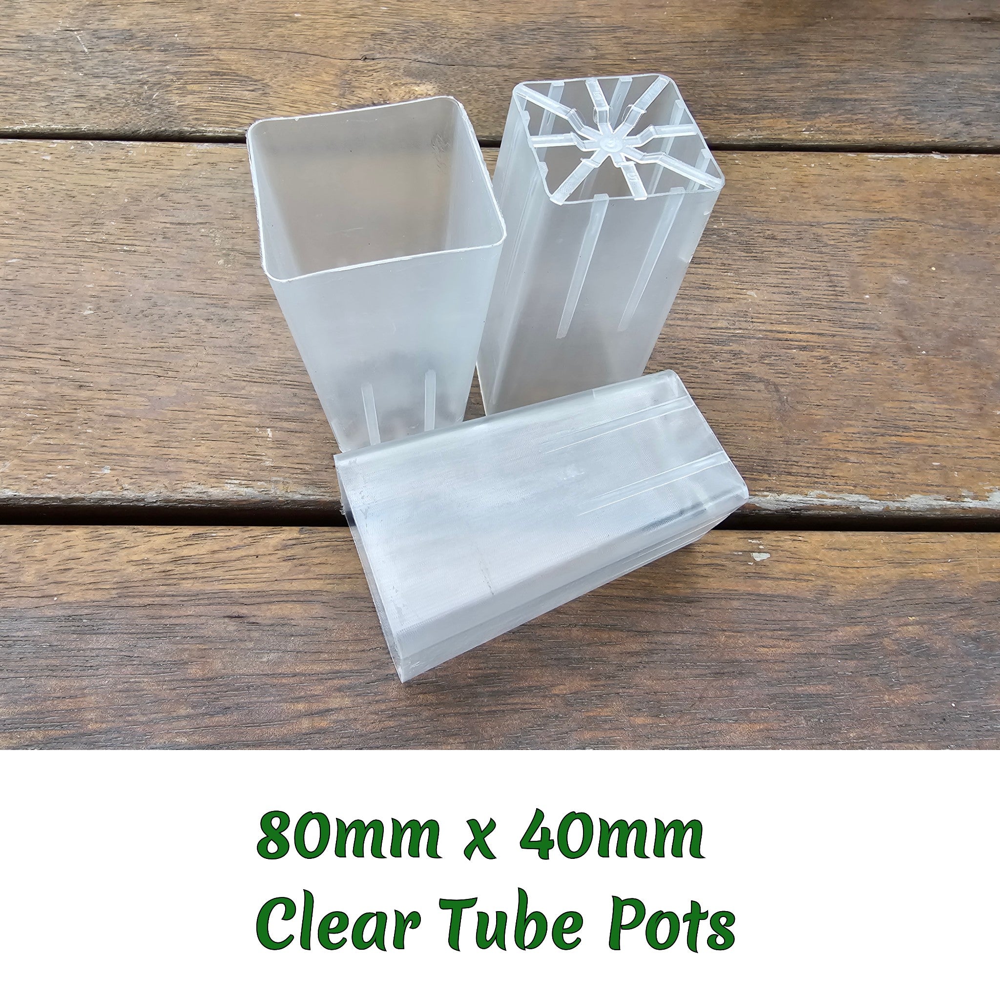 40mm Clear Plastic Seedling Tube Pot – My Plantasy