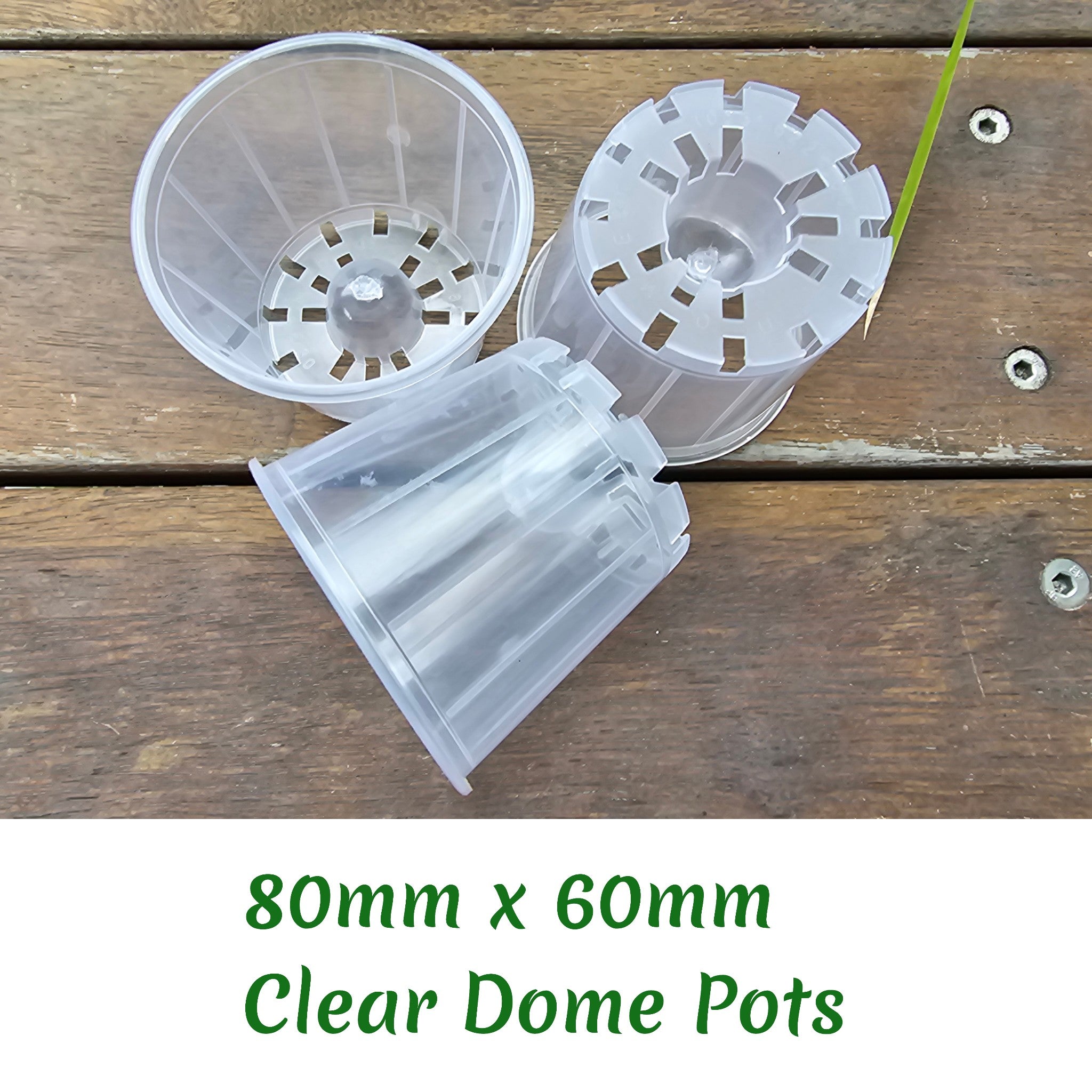 80mm Clear Plastic Dome Plant Pot – My Plantasy