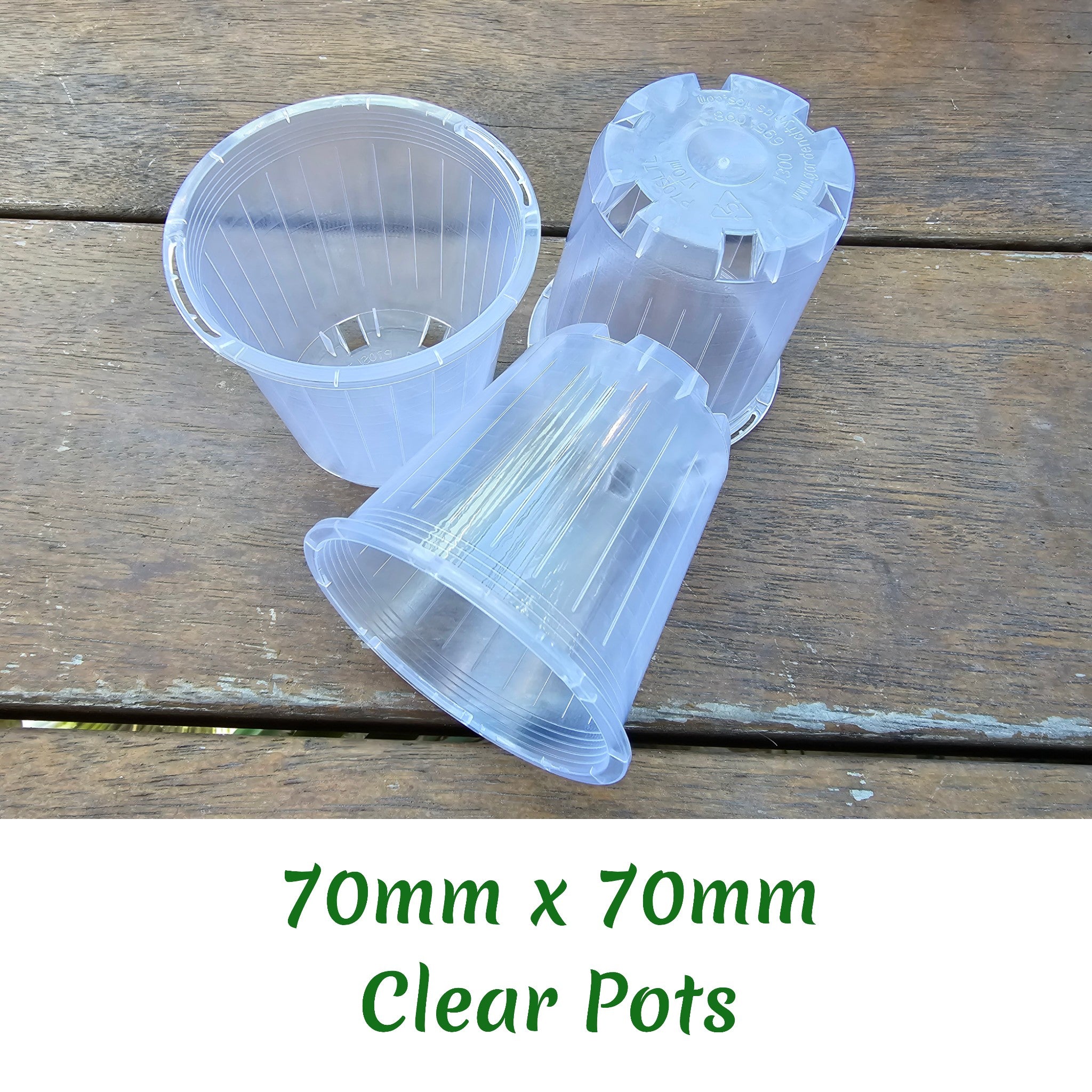 70mm Clear Plastic Plant Pot – My Plantasy