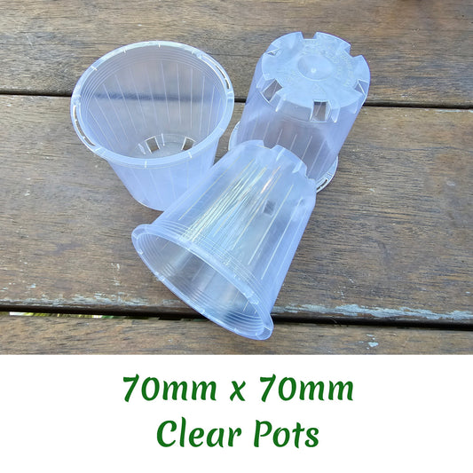 Clear Plant Pots – My Plantasy