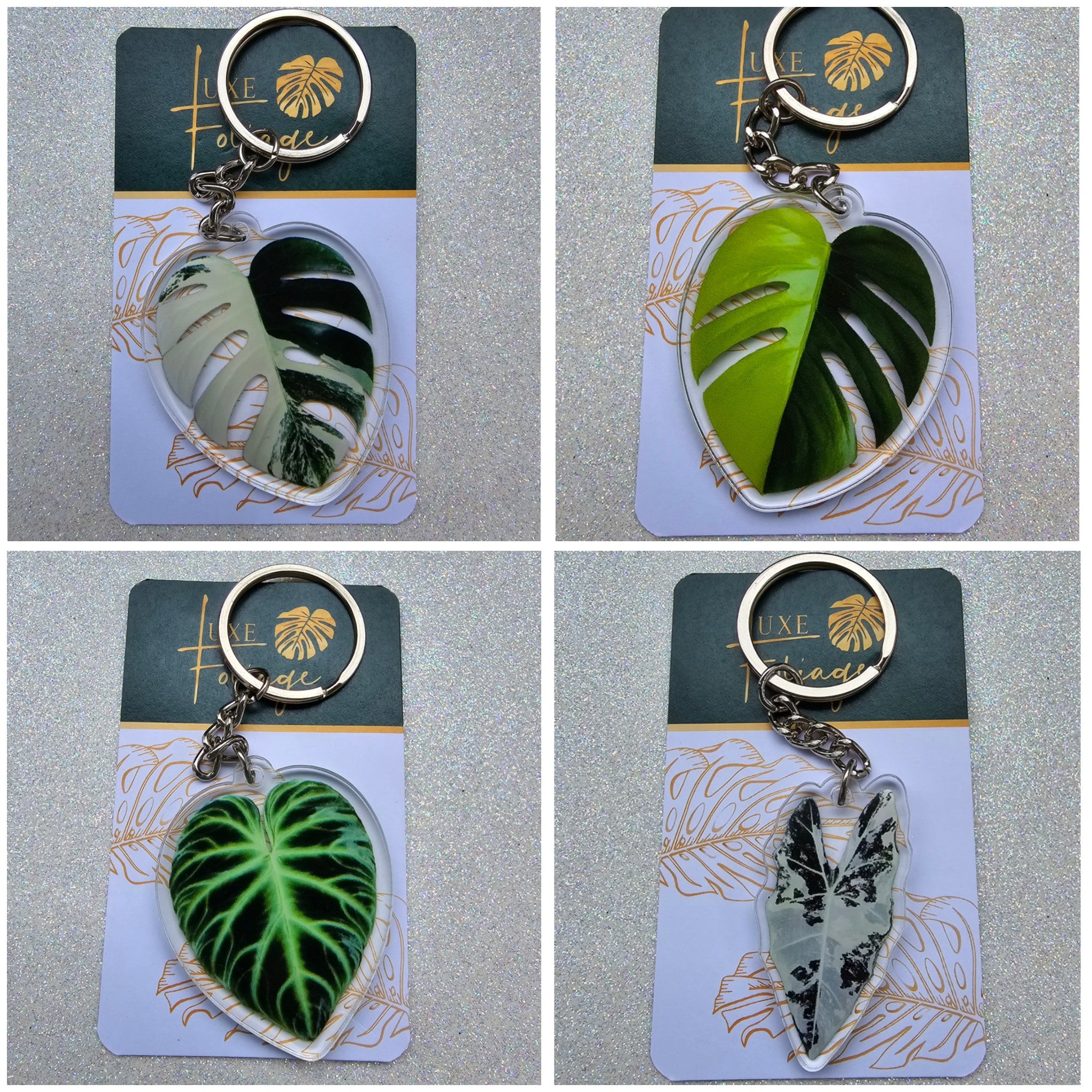 Acrylic Rare Plant Keyrings – My Plantasy