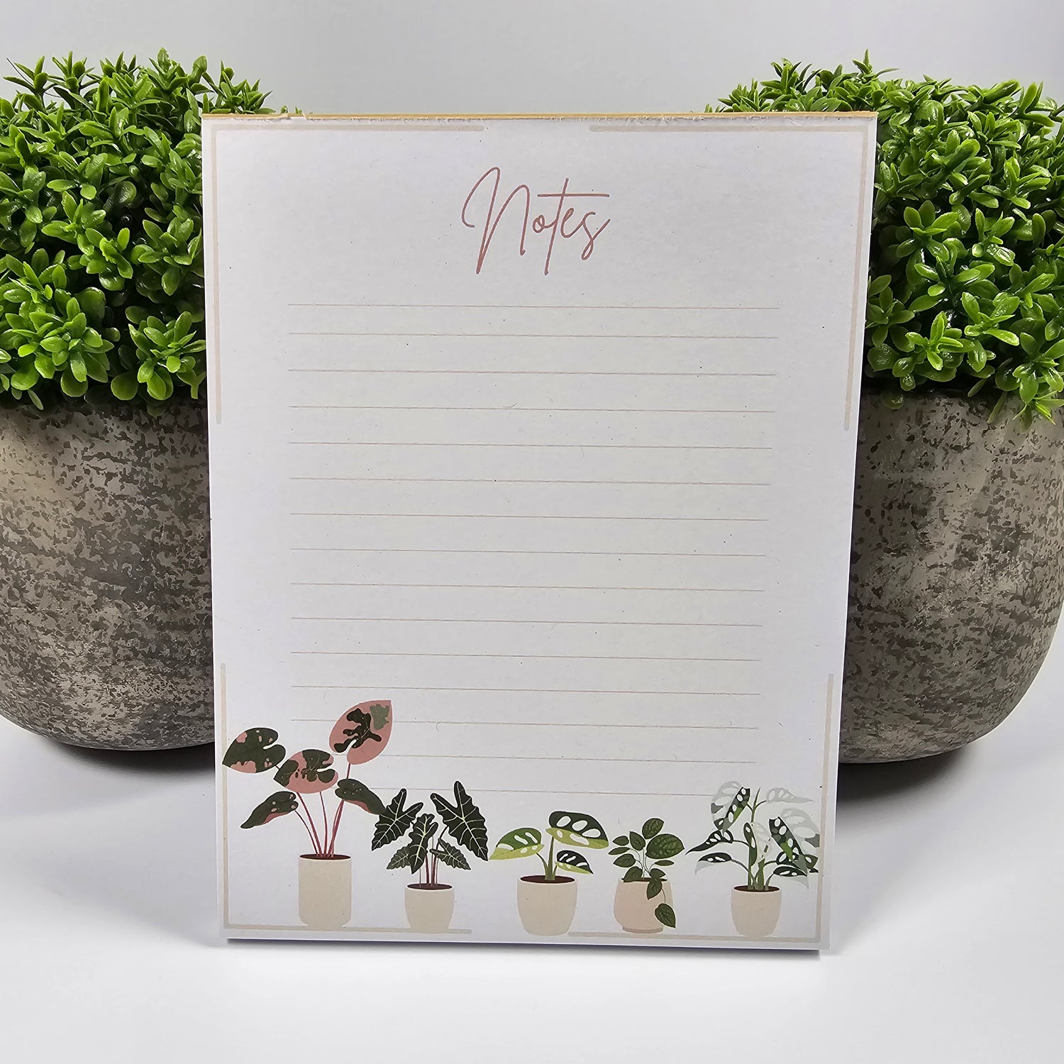 Variegated Houseplants Notepad – My Plantasy