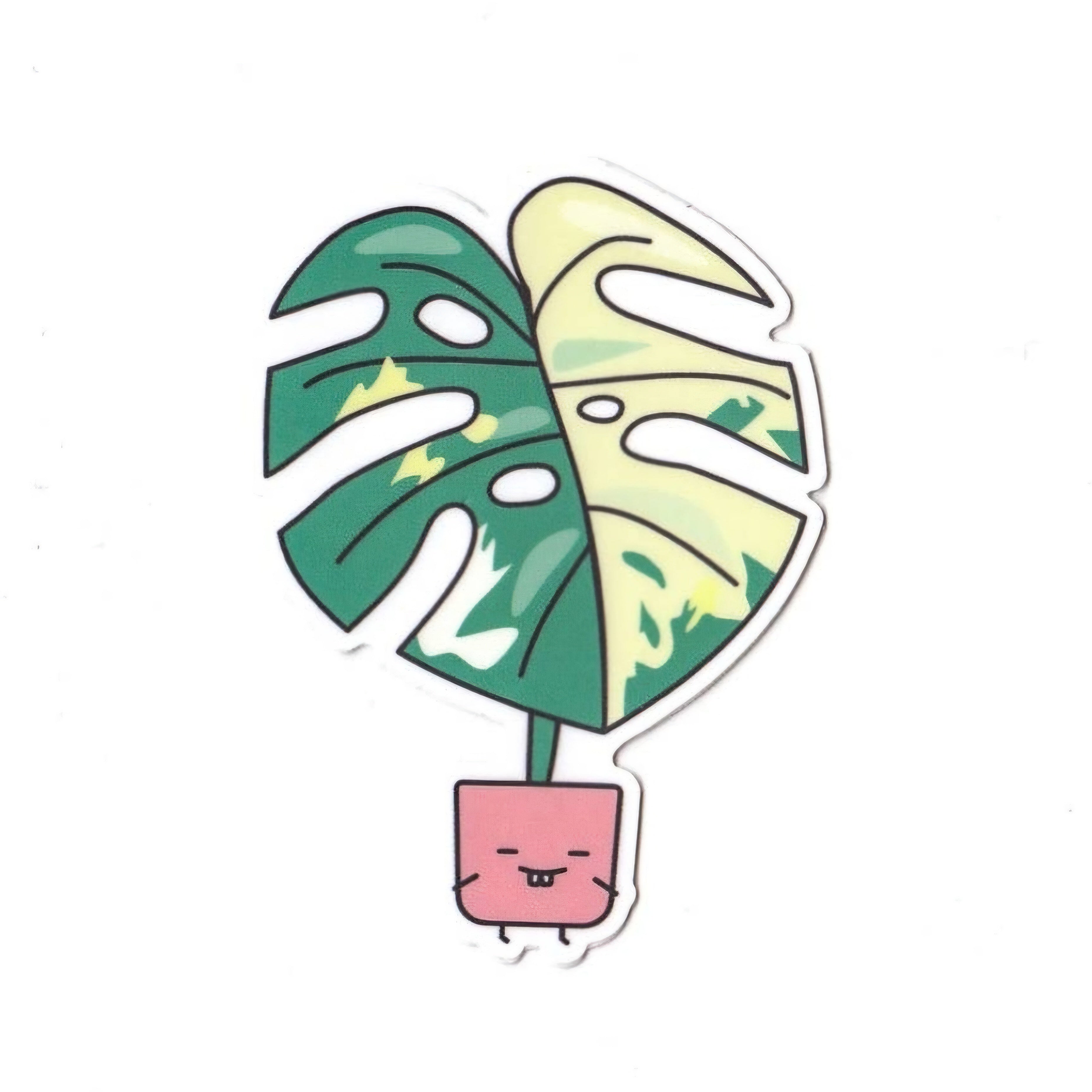 Variegated Monstera Vinyl Plant sticker – My Plantasy